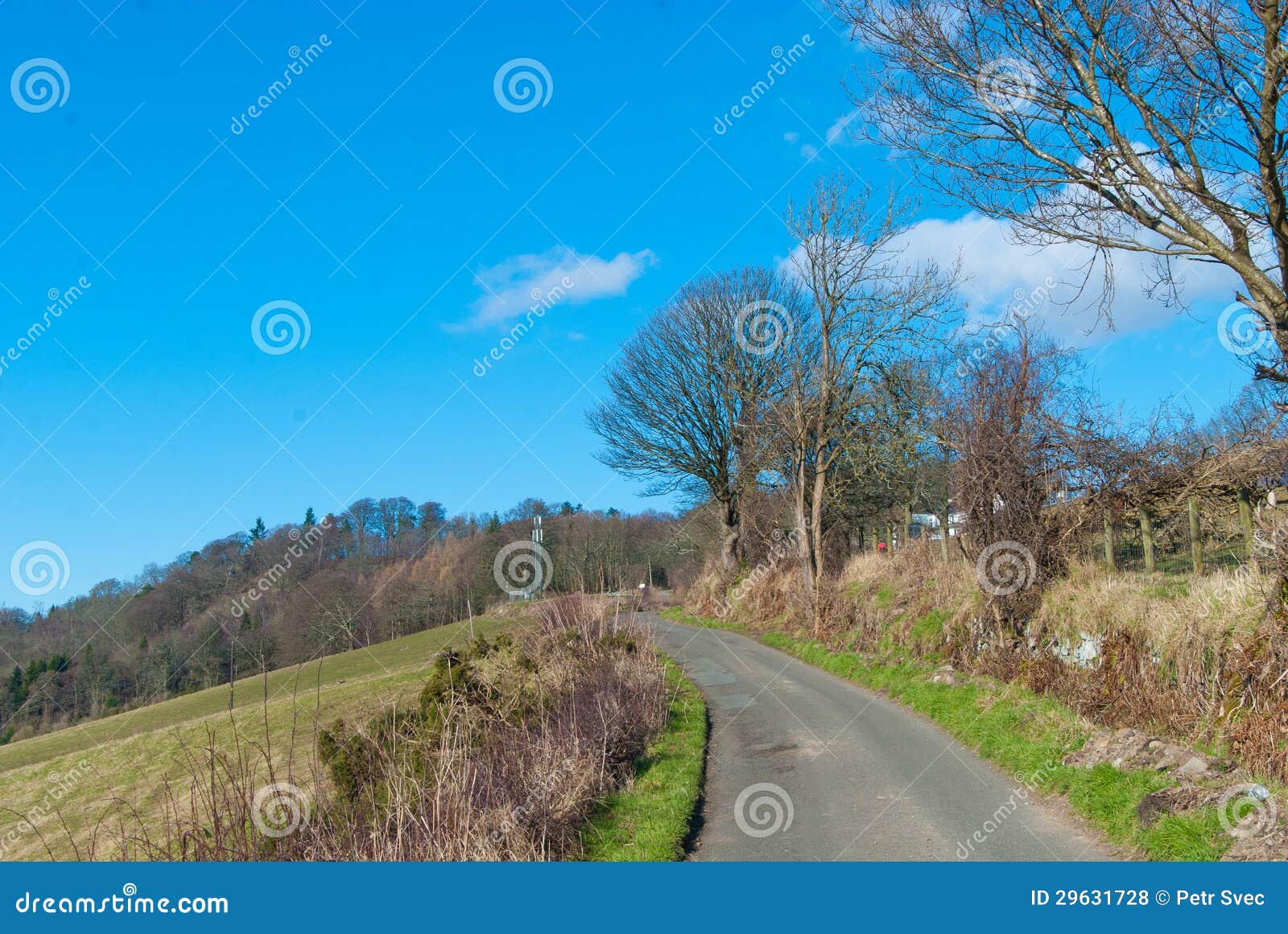 Narrow country road stock photo. Image of yellow, road - 29631728