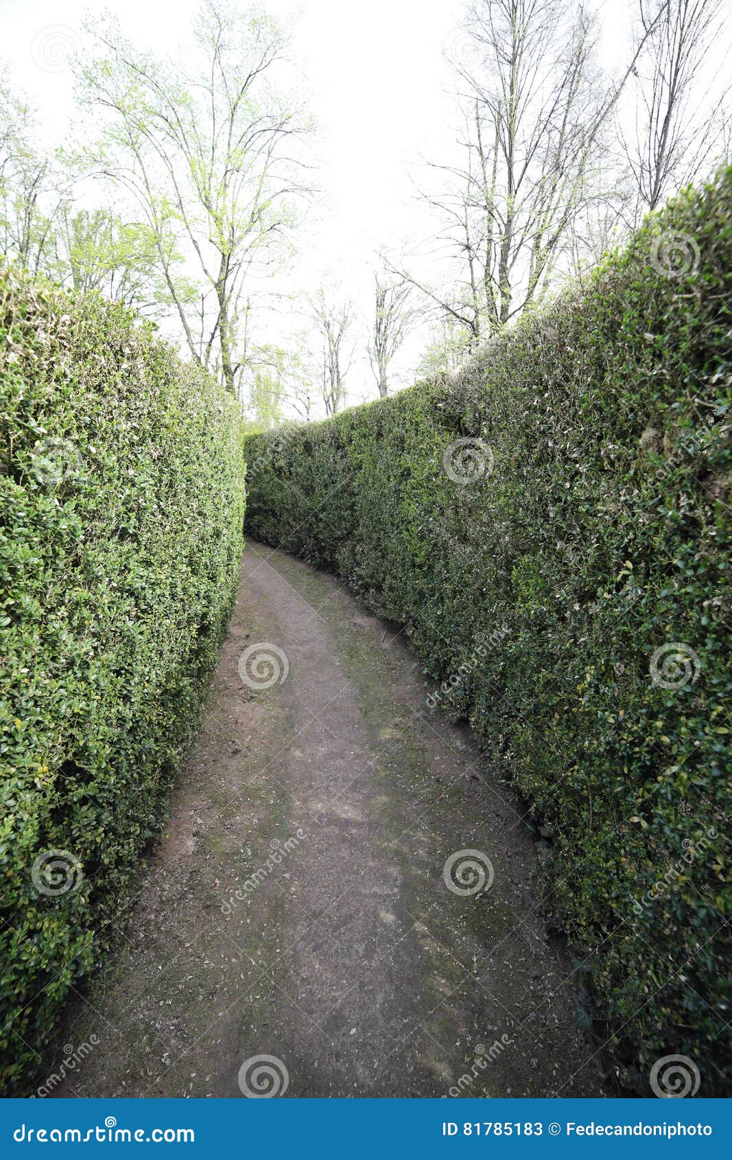 Narrow Dead End Street in an Intricate Maze Stock Image - Image of ...