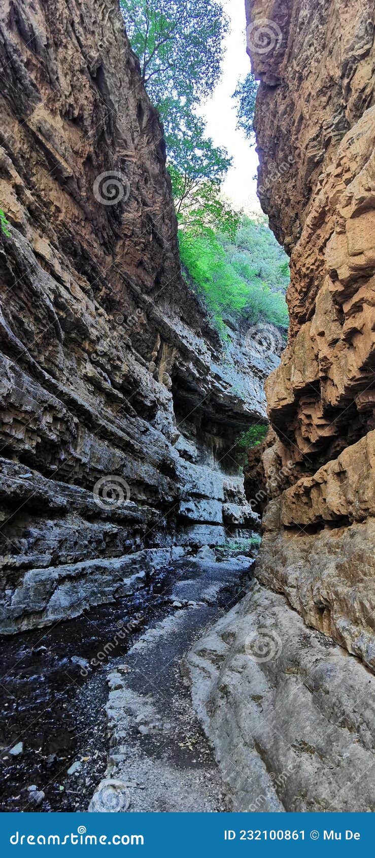 Gorge stock image. Image of valley, mountain, tree, badlands - 232100861