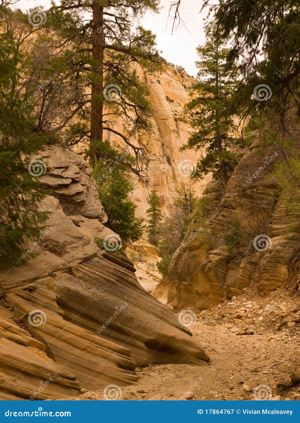 Narrow desert canyon stock image. Image of beautiful - 17864767