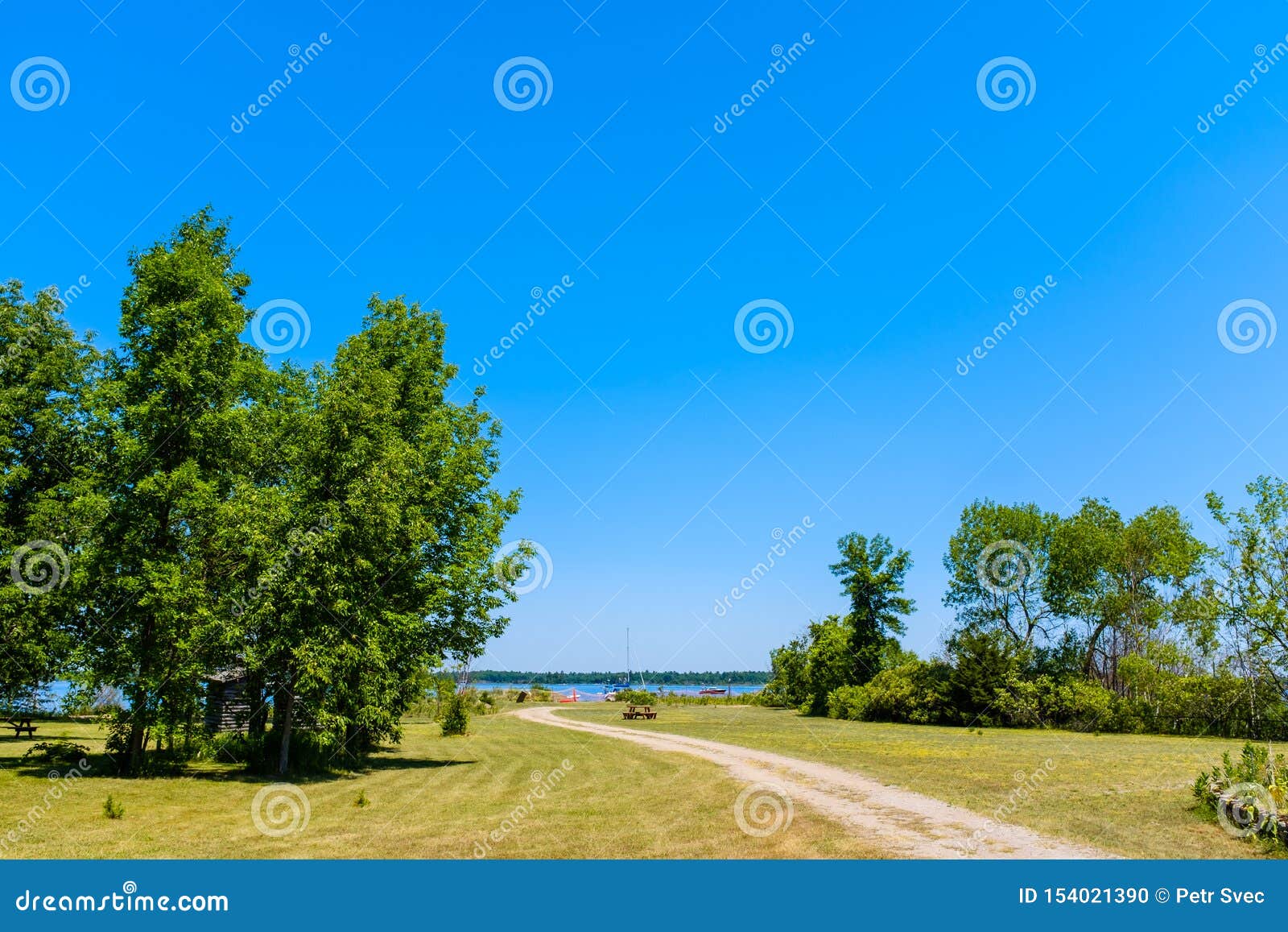 Narrow Dirt Path in a Meadow Stock Photo - Image of forest, meadow ...