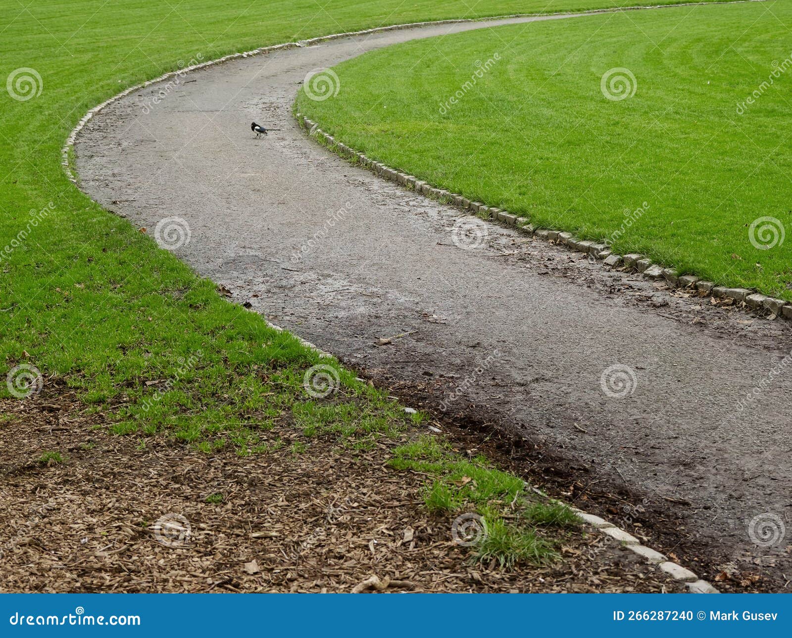 Narrow Foot Path in a Park between Green Grass Lawn Stock Photo - Image ...