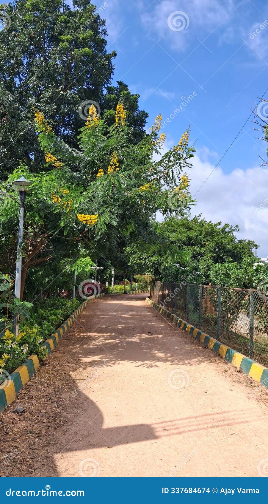 Narrow Foot Path To Walk and Jog Stock Photo - Image of path, walk ...