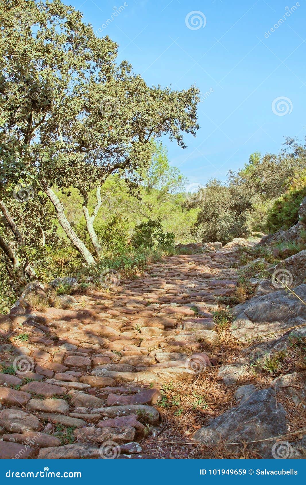 Narrow Footpath in the Mountains Stock Image - Image of tourism ...