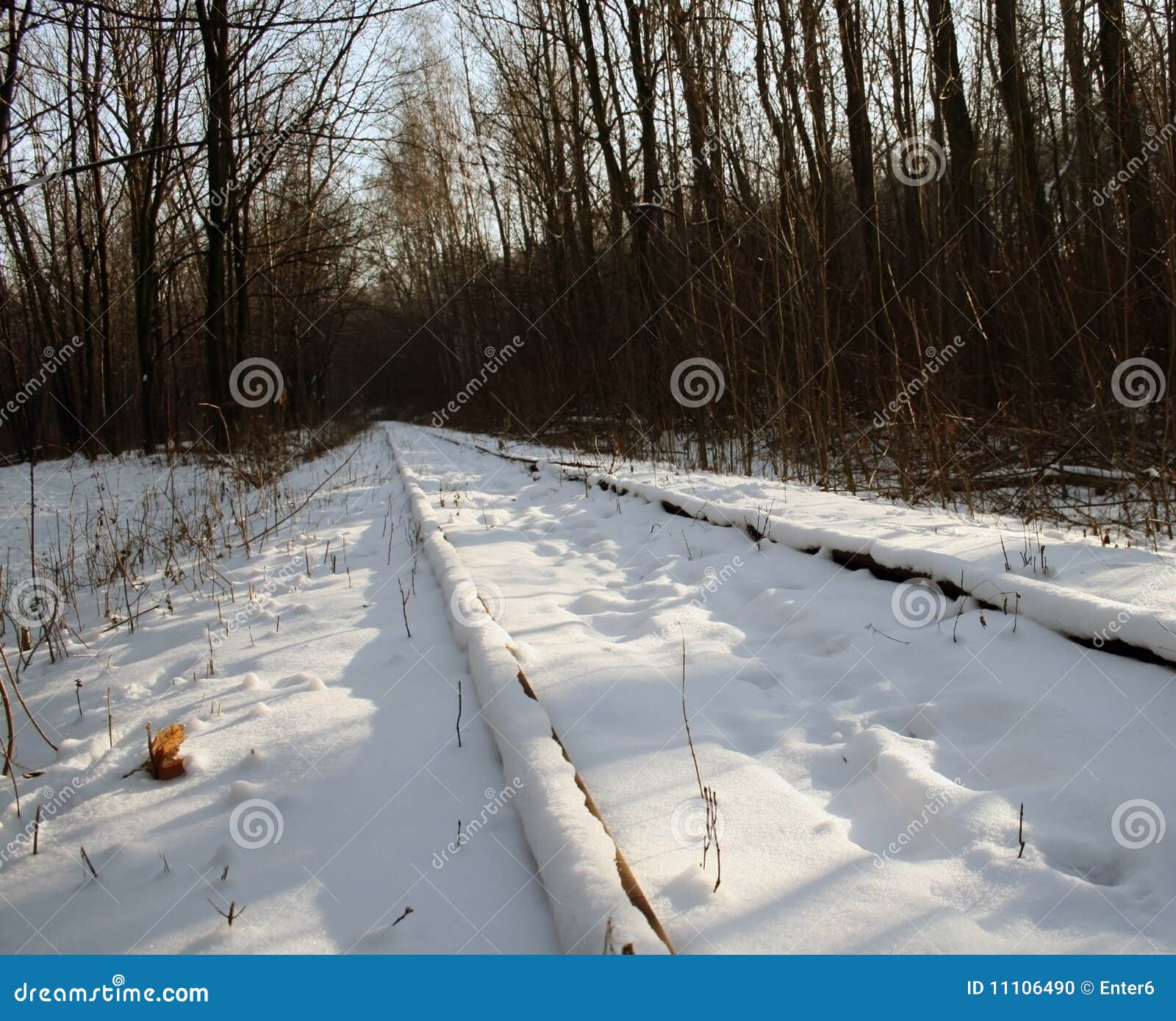Narrow-gauge rails stock photo. Image of railroad, sunlight - 11106490