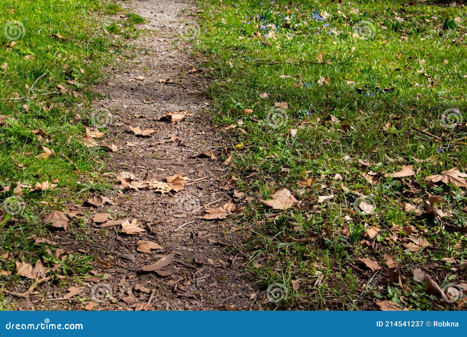 Narrow Gravel Footpath Leading through the Grass Stock Image - Image of ...