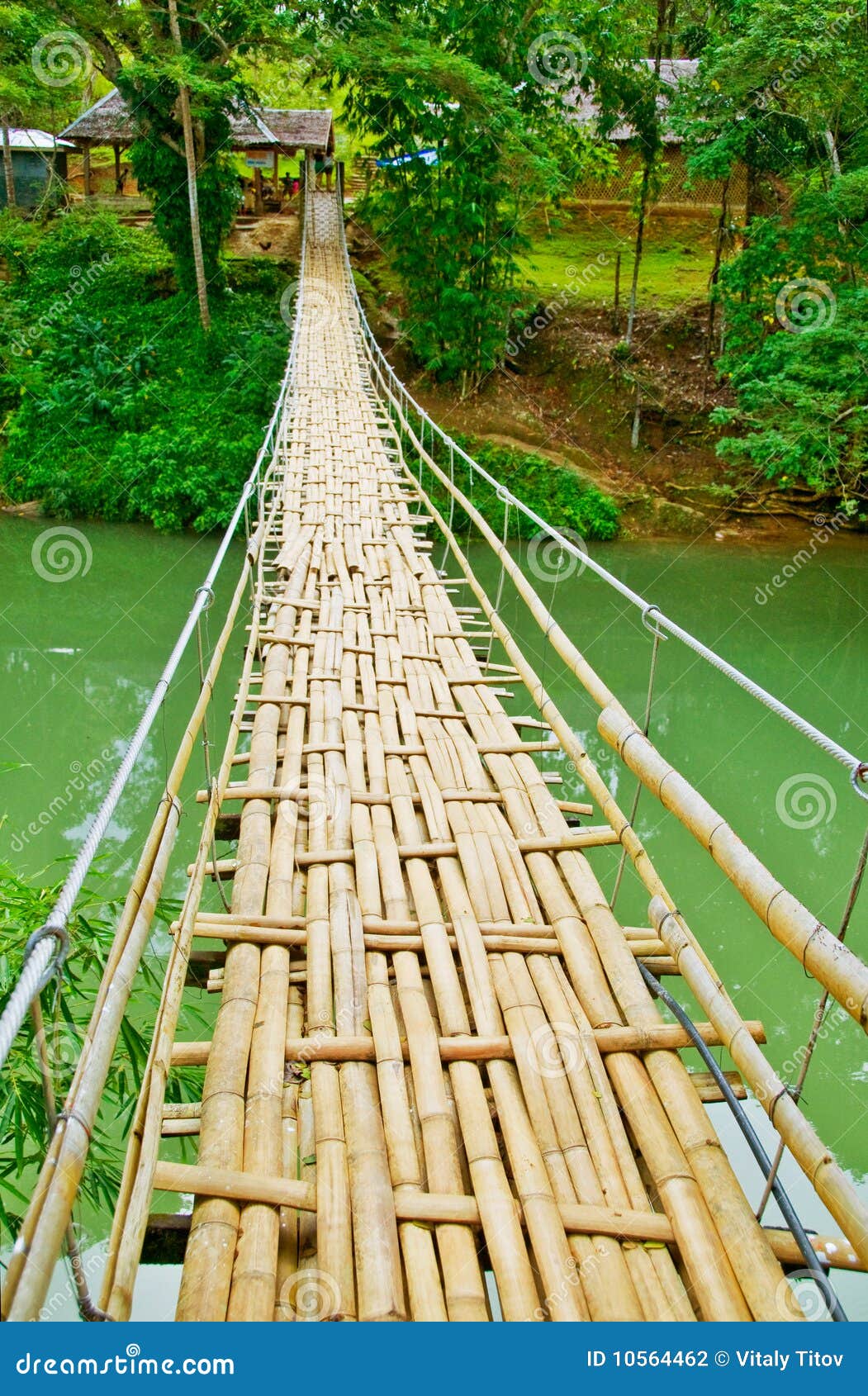 Narrow Hanging Bridge stock photo. Image of vertige, natural - 10564462
