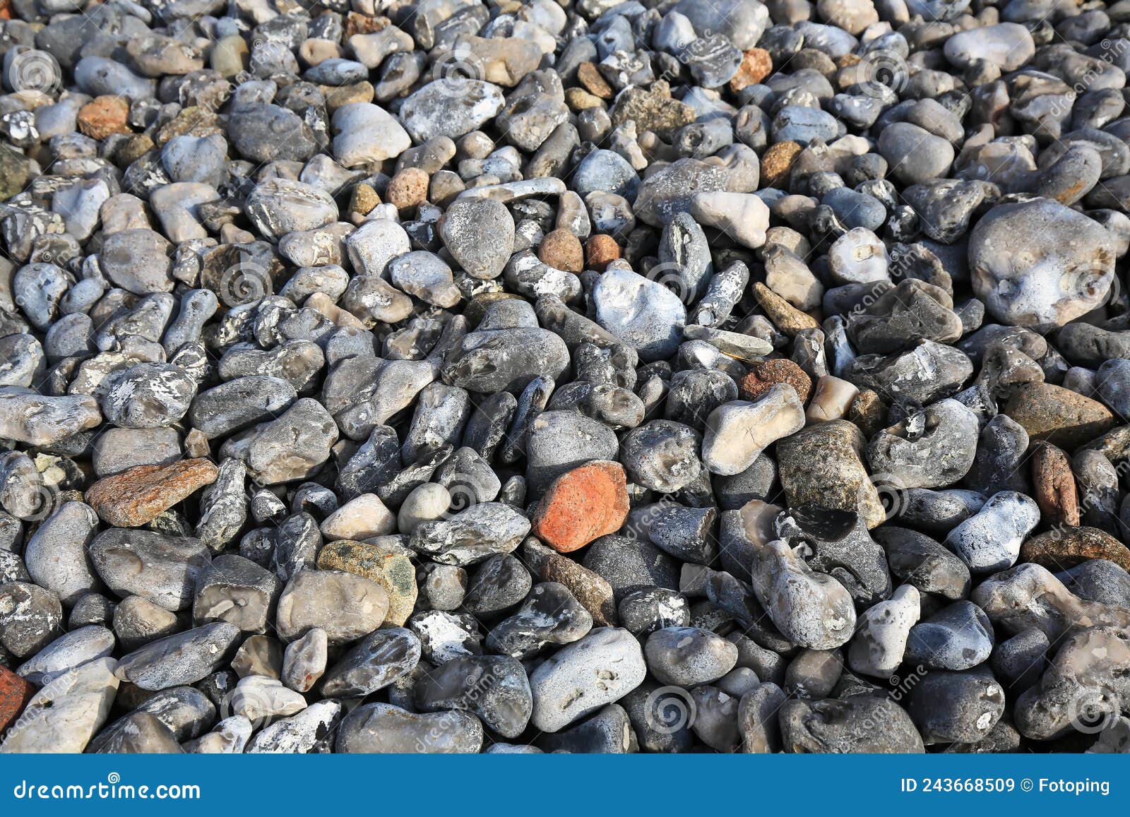 Narrow Heath with Flint Fields Stock Image - Image of baltic, field ...
