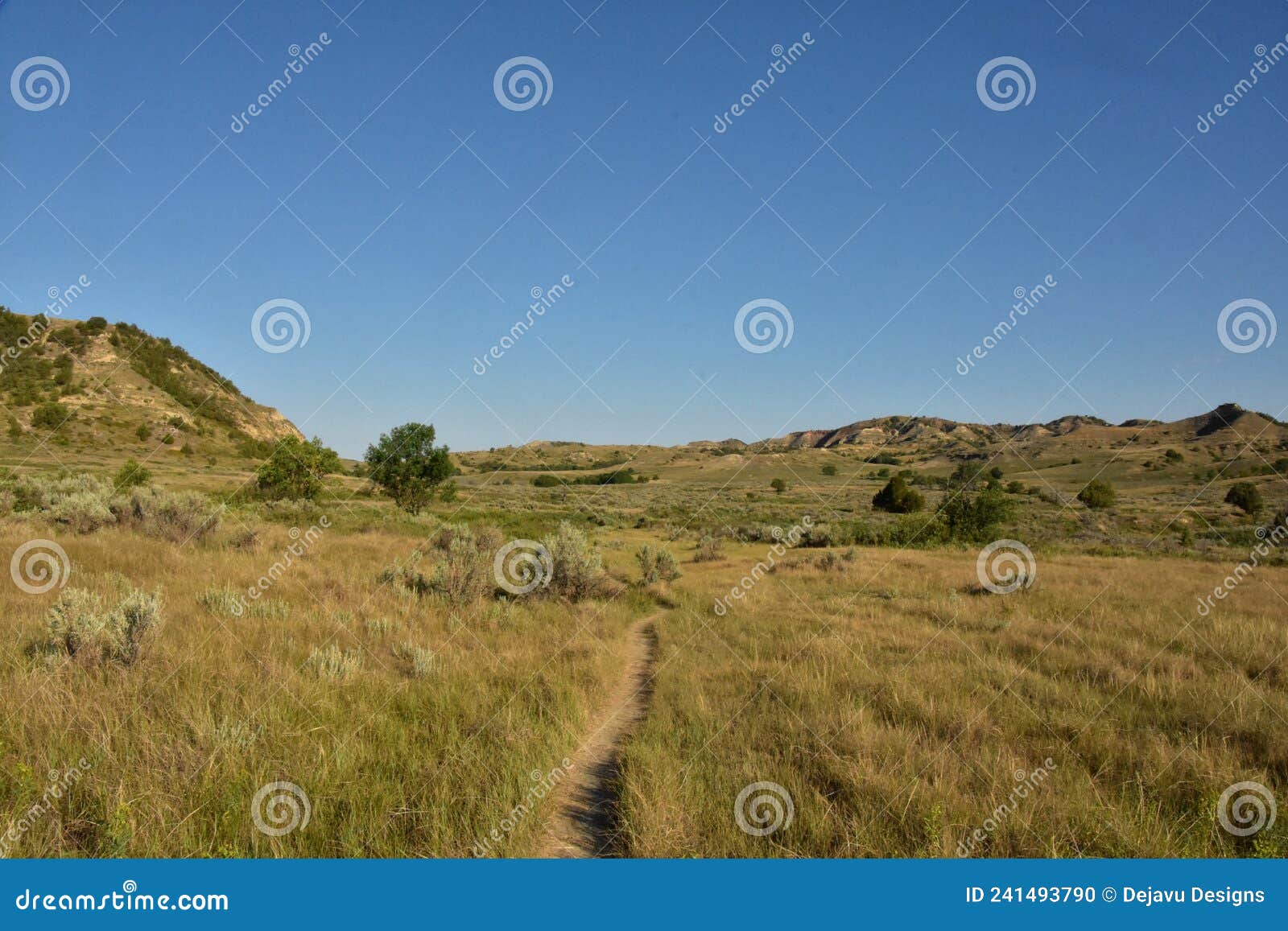 Narrow Hiking Trail through Grasslands into Hills Stock Photo - Image ...