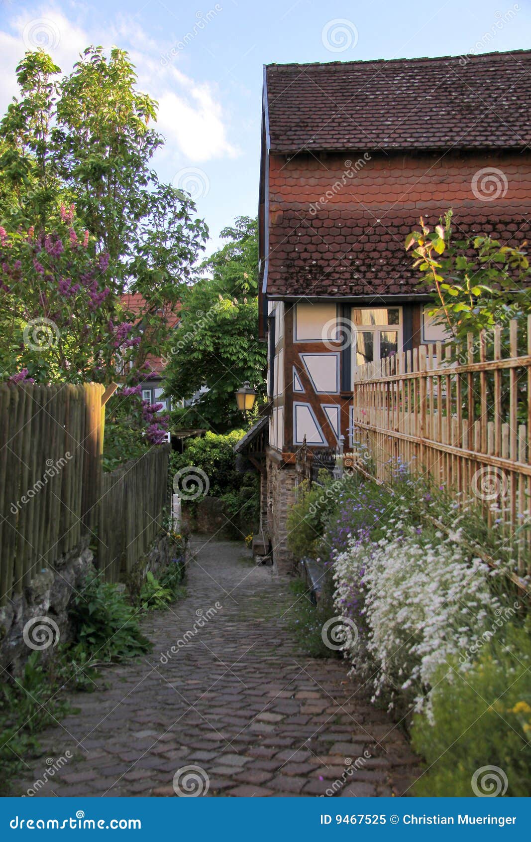Narrow Lane with Garden Fence Stock Image - Image of garden, lane: 9467525