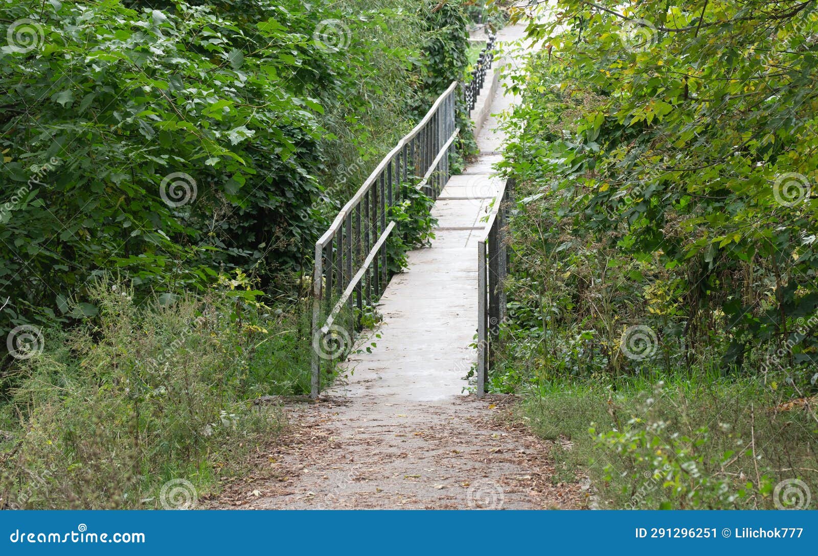 Narrow Metal Bridge Over a Pond Stock Image - Image of environment ...