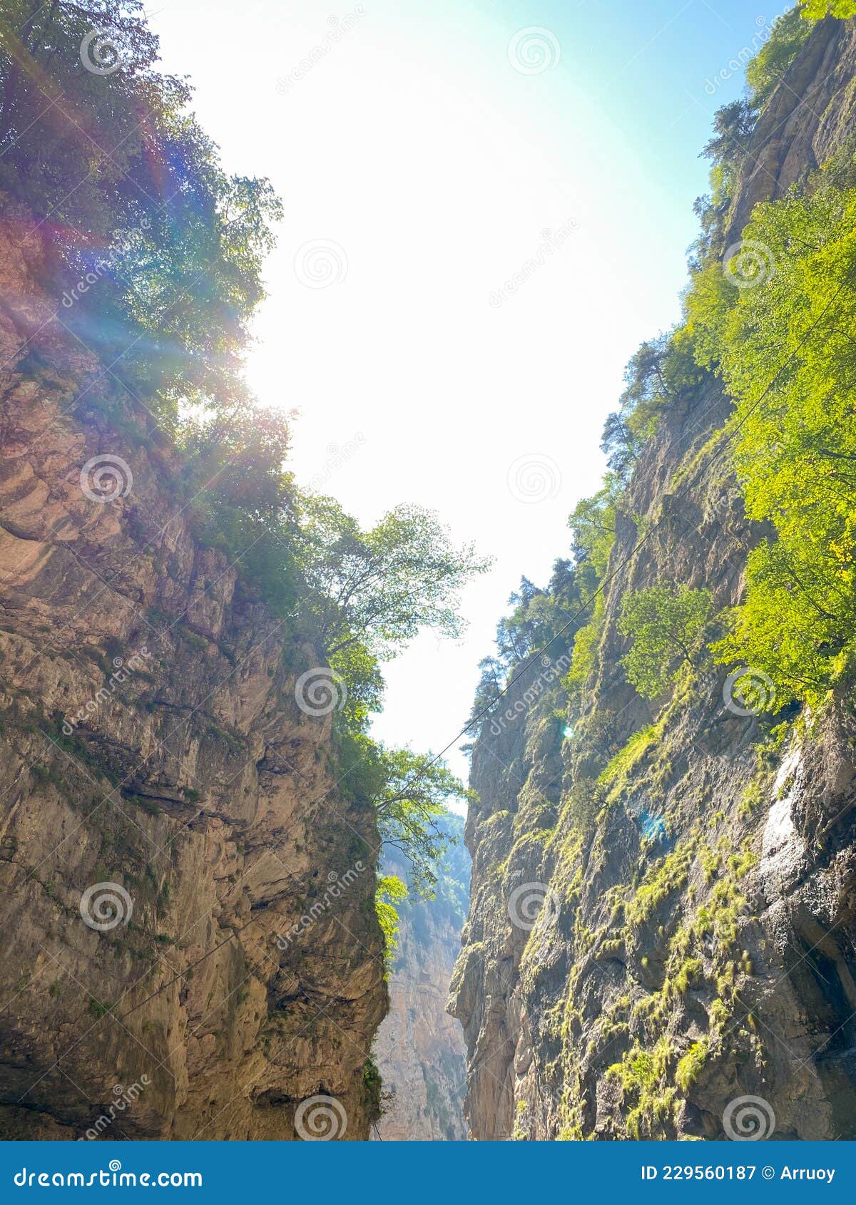 Narrow mountain gorge stock image. Image of valley, mountain - 229560187