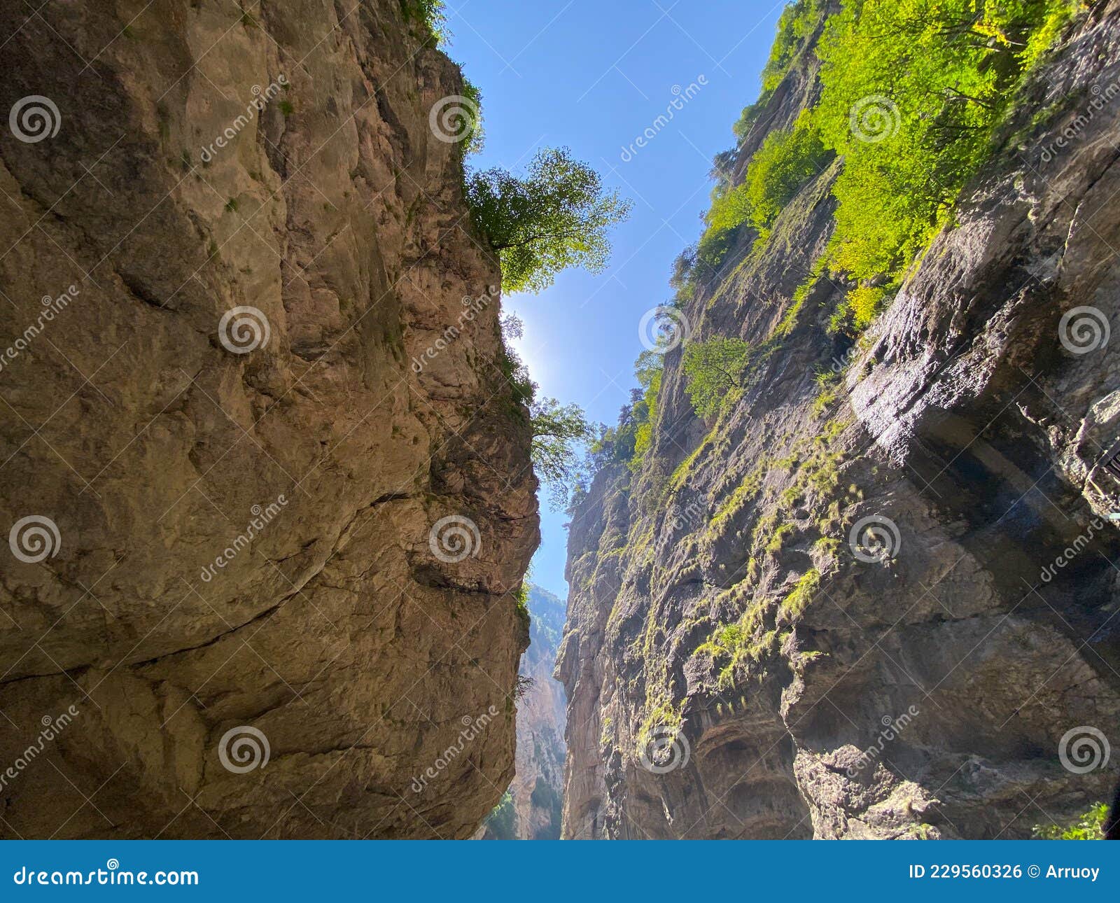 Narrow mountain gorge stock photo. Image of geology - 229560326