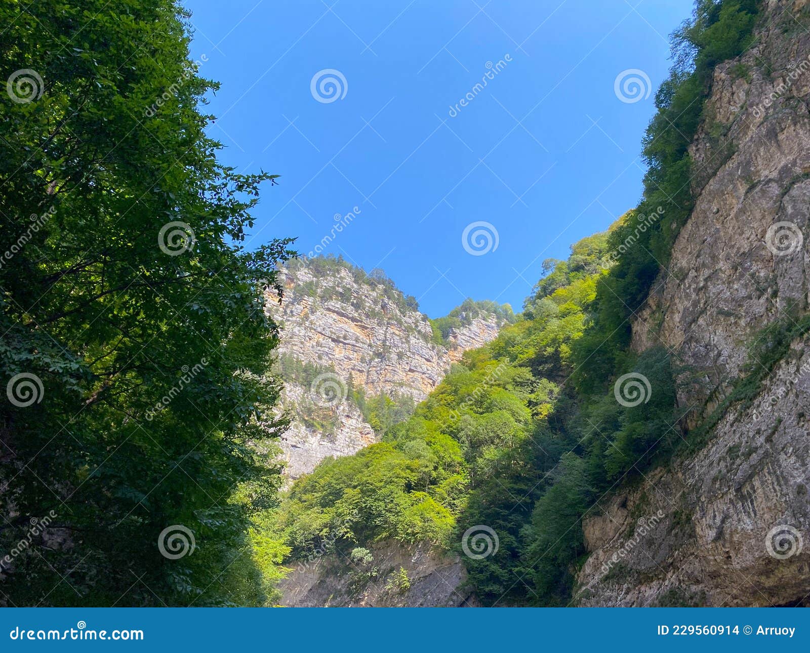 Narrow mountain gorge stock photo. Image of greenery - 229560914