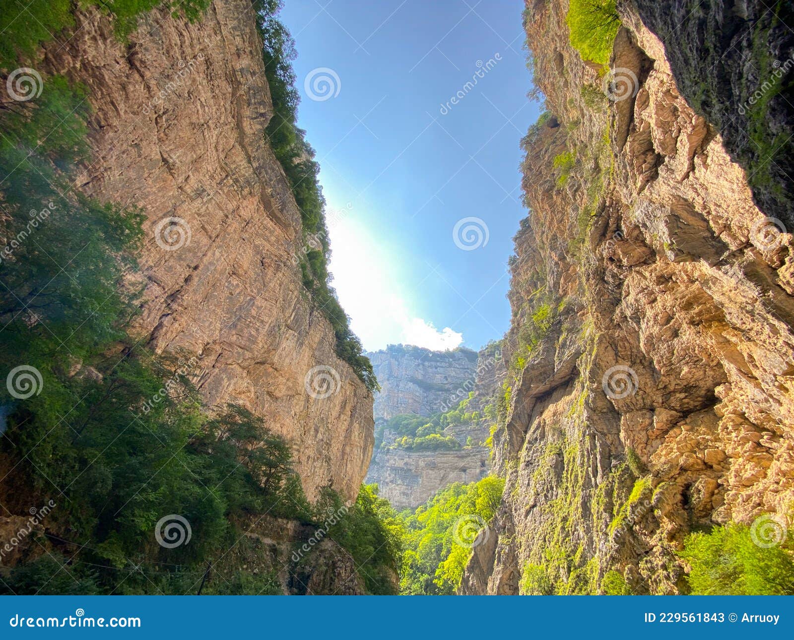 Narrow mountain gorge stock image. Image of cliff, valley - 229561843