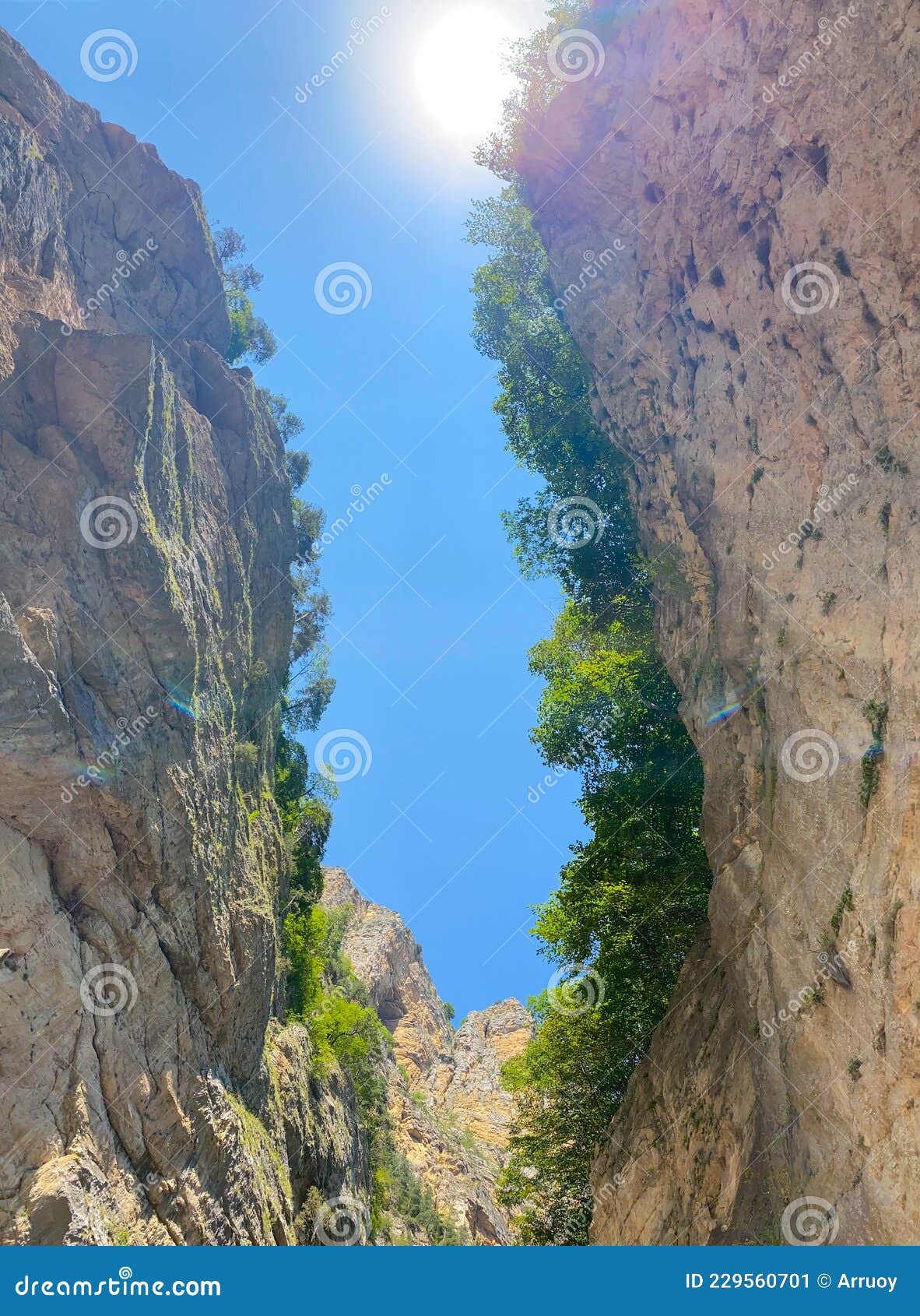 Narrow mountain gorge stock image. Image of ravine, narrow - 229560701