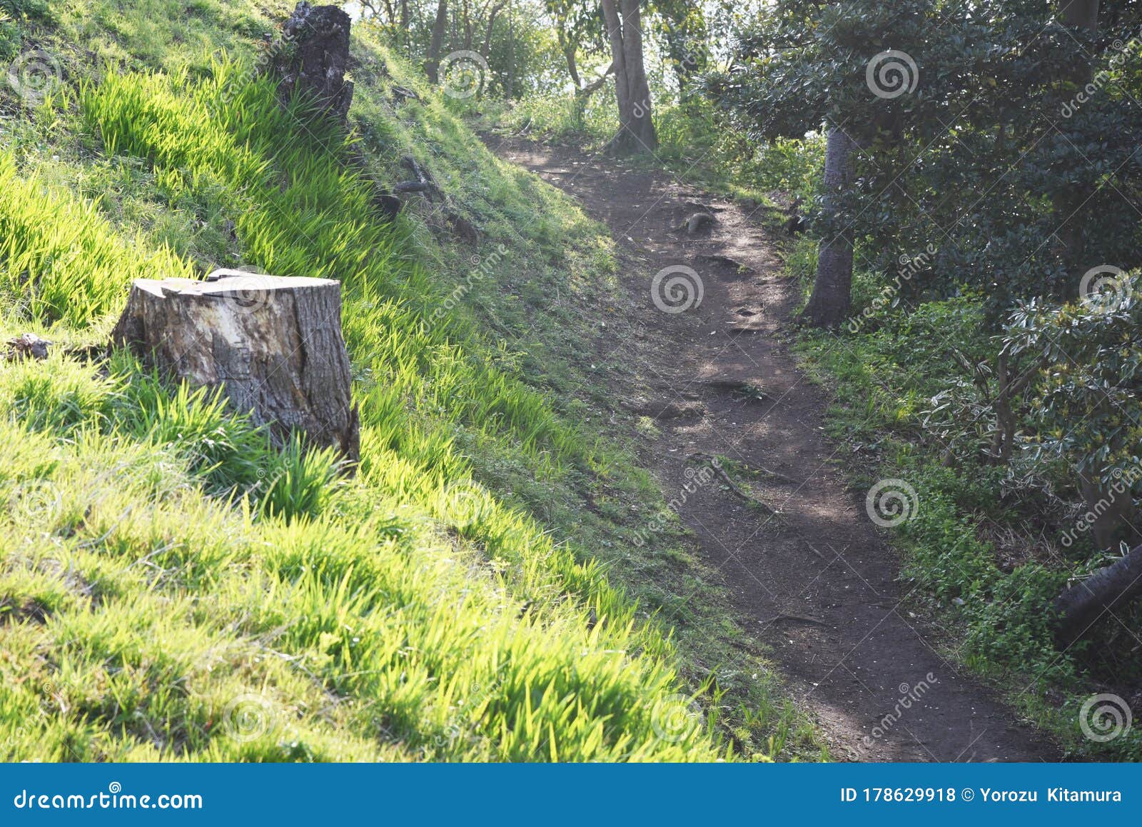 The narrow mountain path stock photo. Image of kanagawa - 178629918
