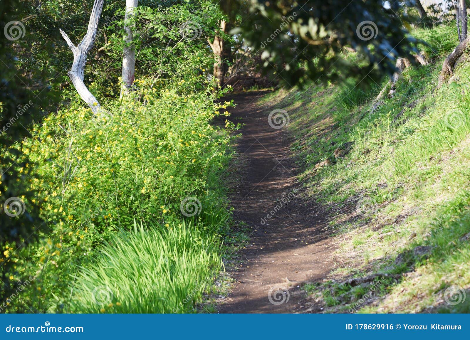 The narrow mountain path stock photo. Image of road - 178629916