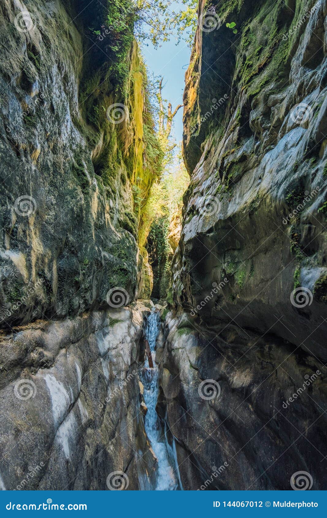 Narrow Mountain River Canyon in Mountain Gorge Stock Photo - Image of ...