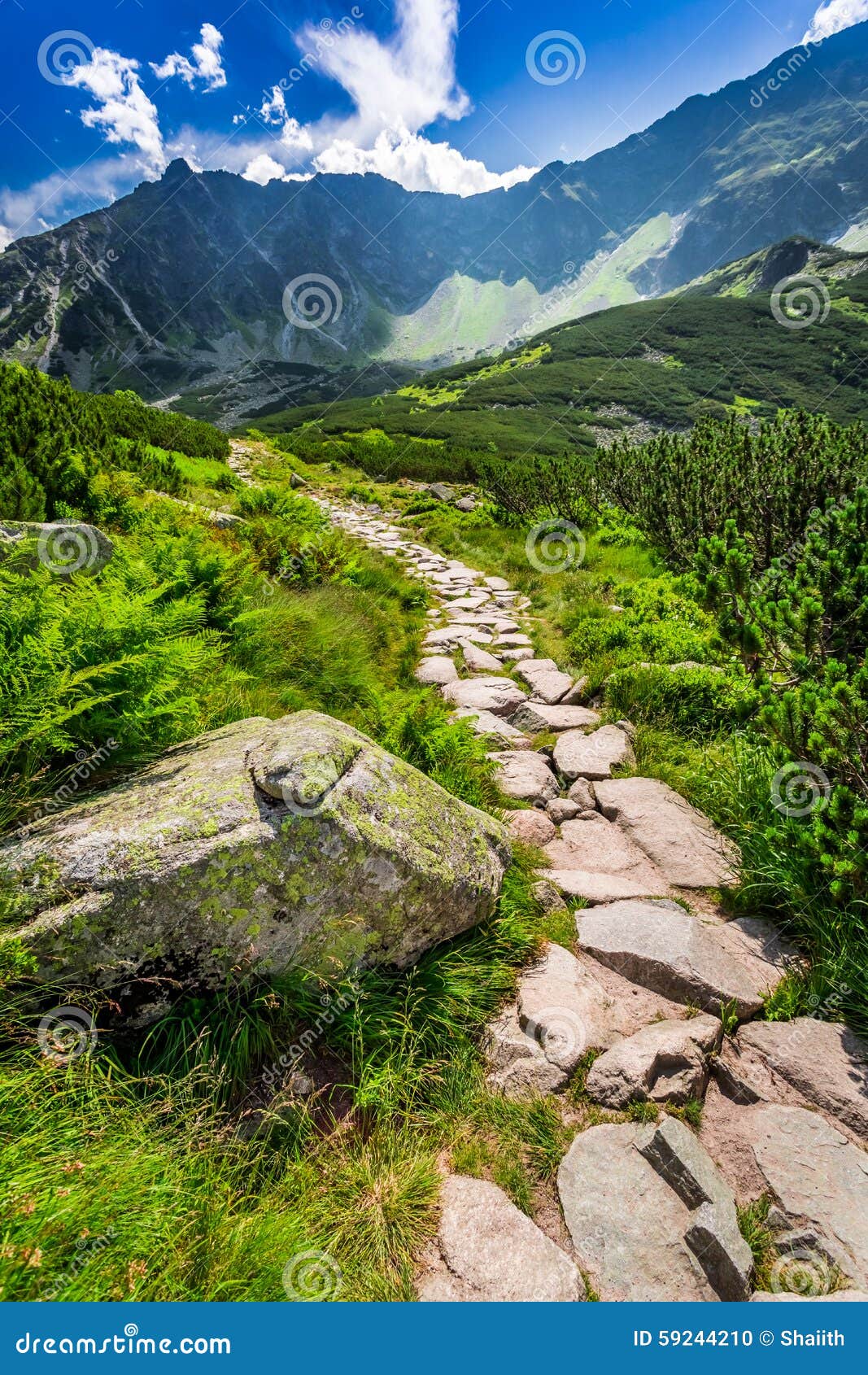 Narrow Mountains Trail Leading the Top Stock Photo - Image of rock ...