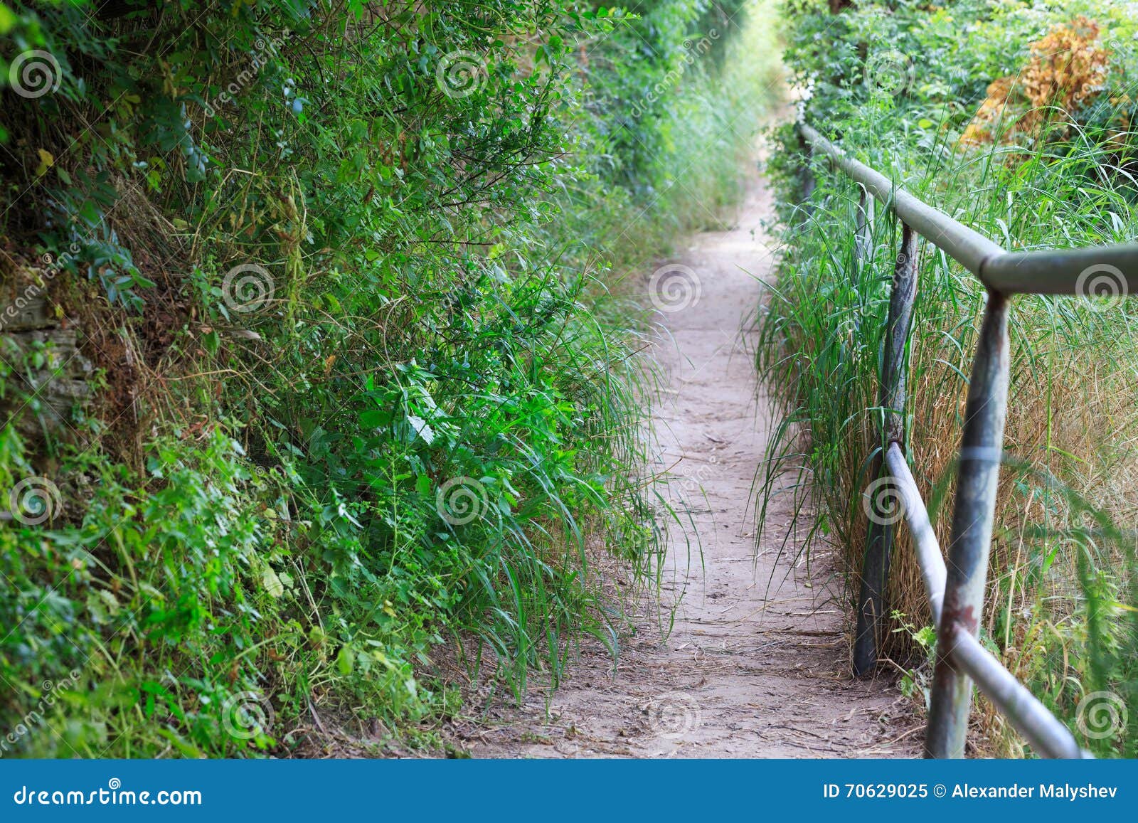 Narrow Nature Path with Railing. Stock Image - Image of natural ...