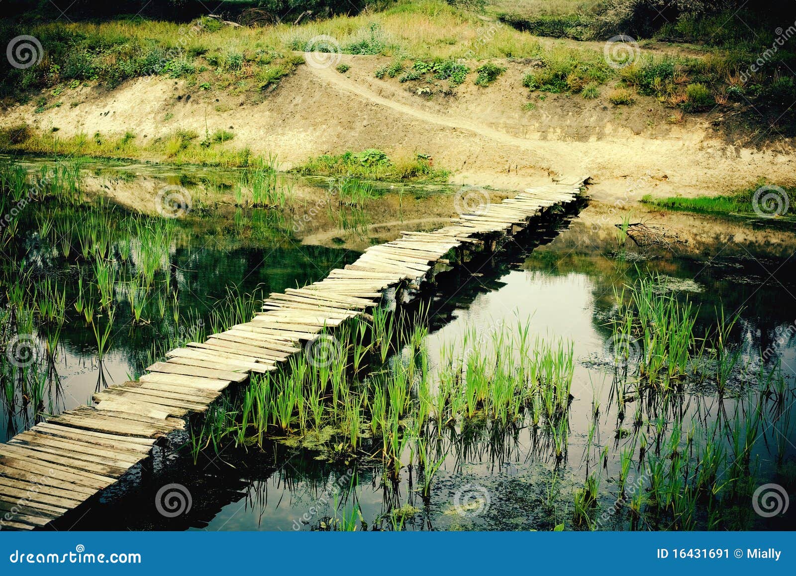 Narrow old wooden bridge stock image. Image of aging - 16431691