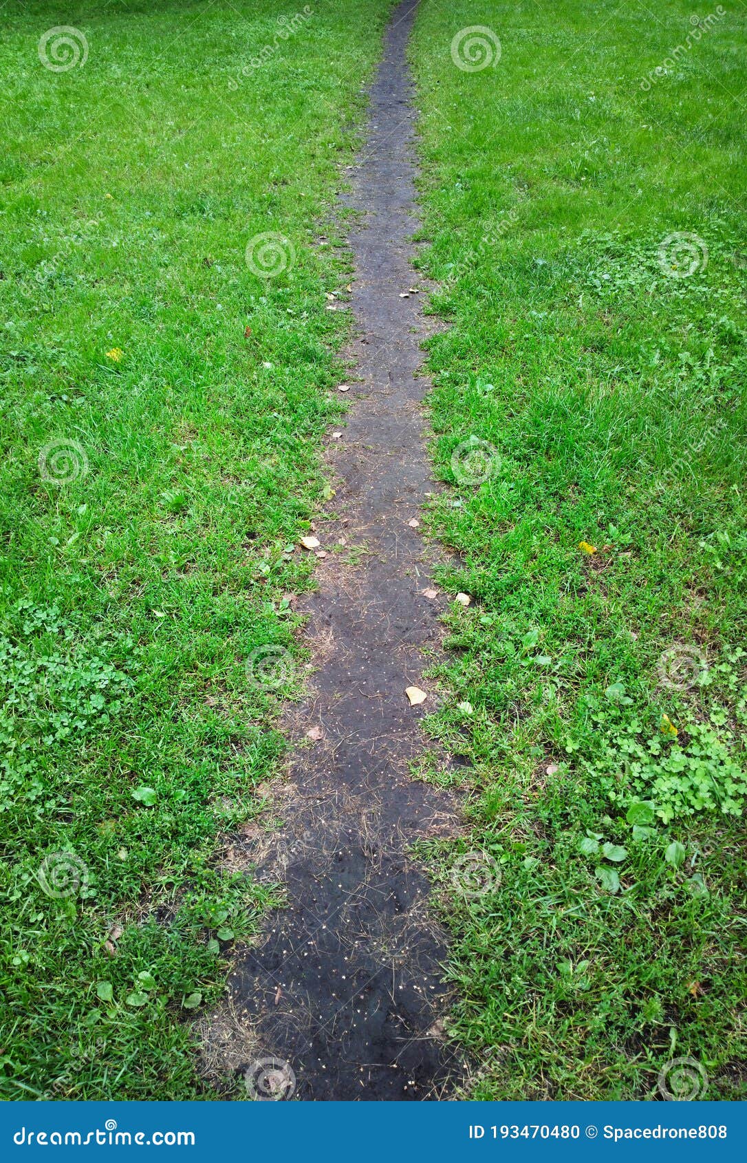 Narrow Park Path Green Grass Background Stock Photography ...