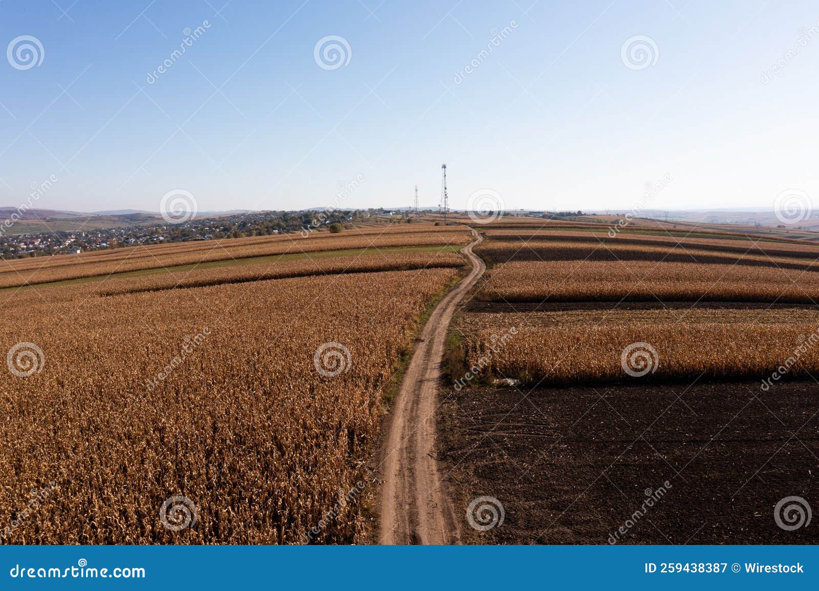 Narrow Path between of Agricultural Fields in the Daytime Stock Image ...