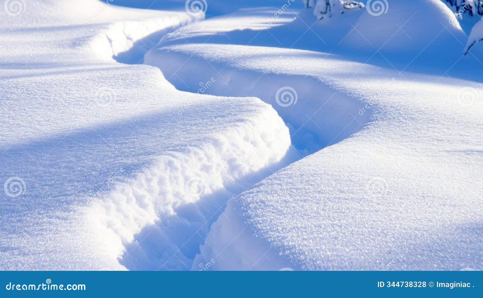 A Narrow Path Winding Through A Dense Bamboo Forest. Royalty-Free Stock ...