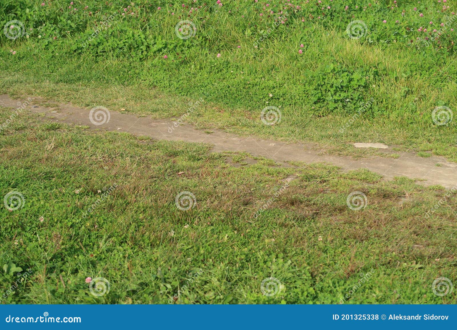 A Narrow Path in a Field Wet with Rain Stock Photo - Image of beautiful ...