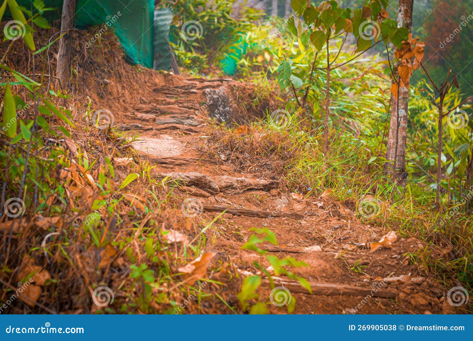 A Narrow Path Leading Uphill on a Mountain Stock Photo - Image of ...