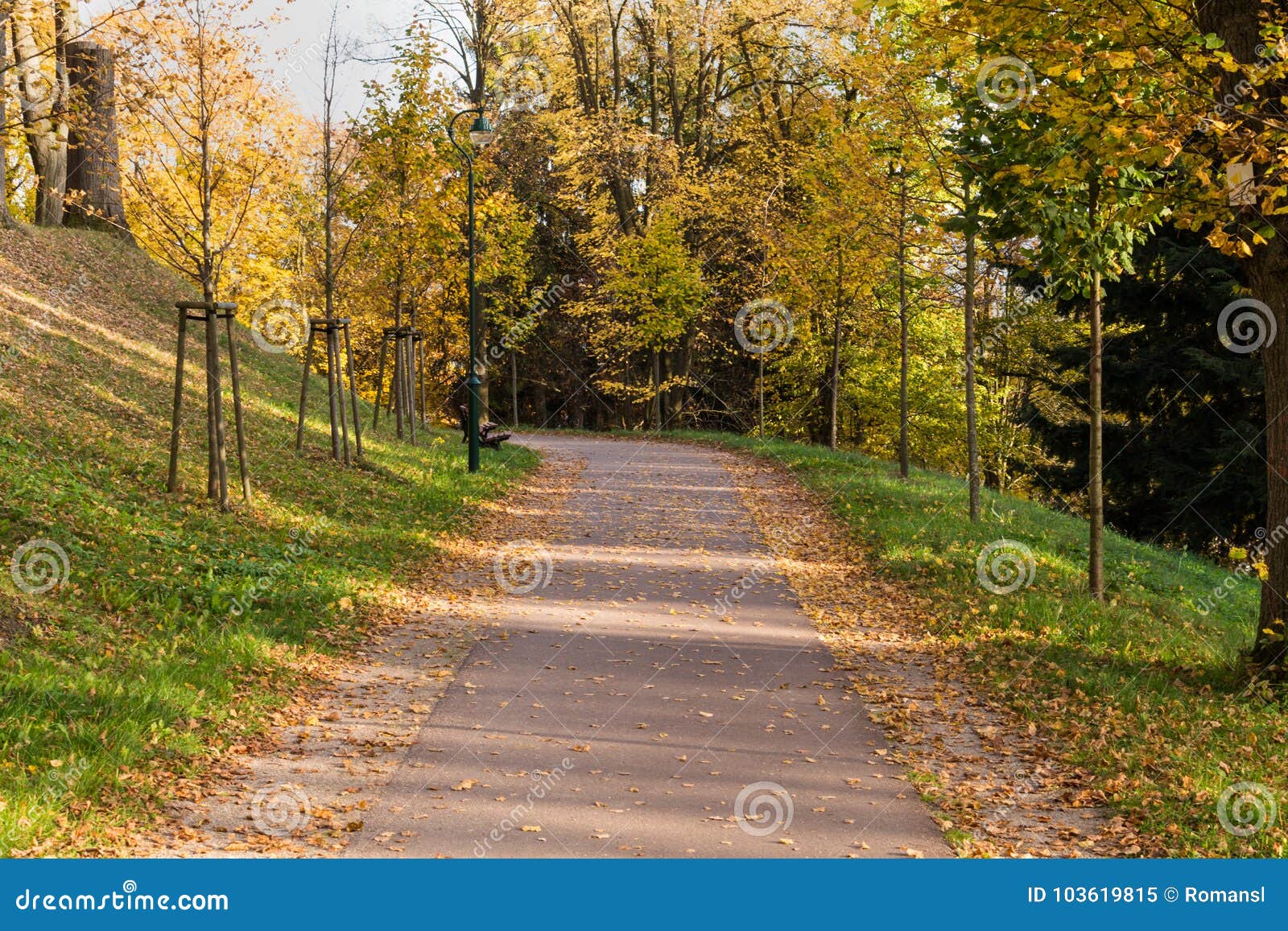 Narrow Path Lit by Soft Spring Sunlight. Forest Spring Nature Stock ...