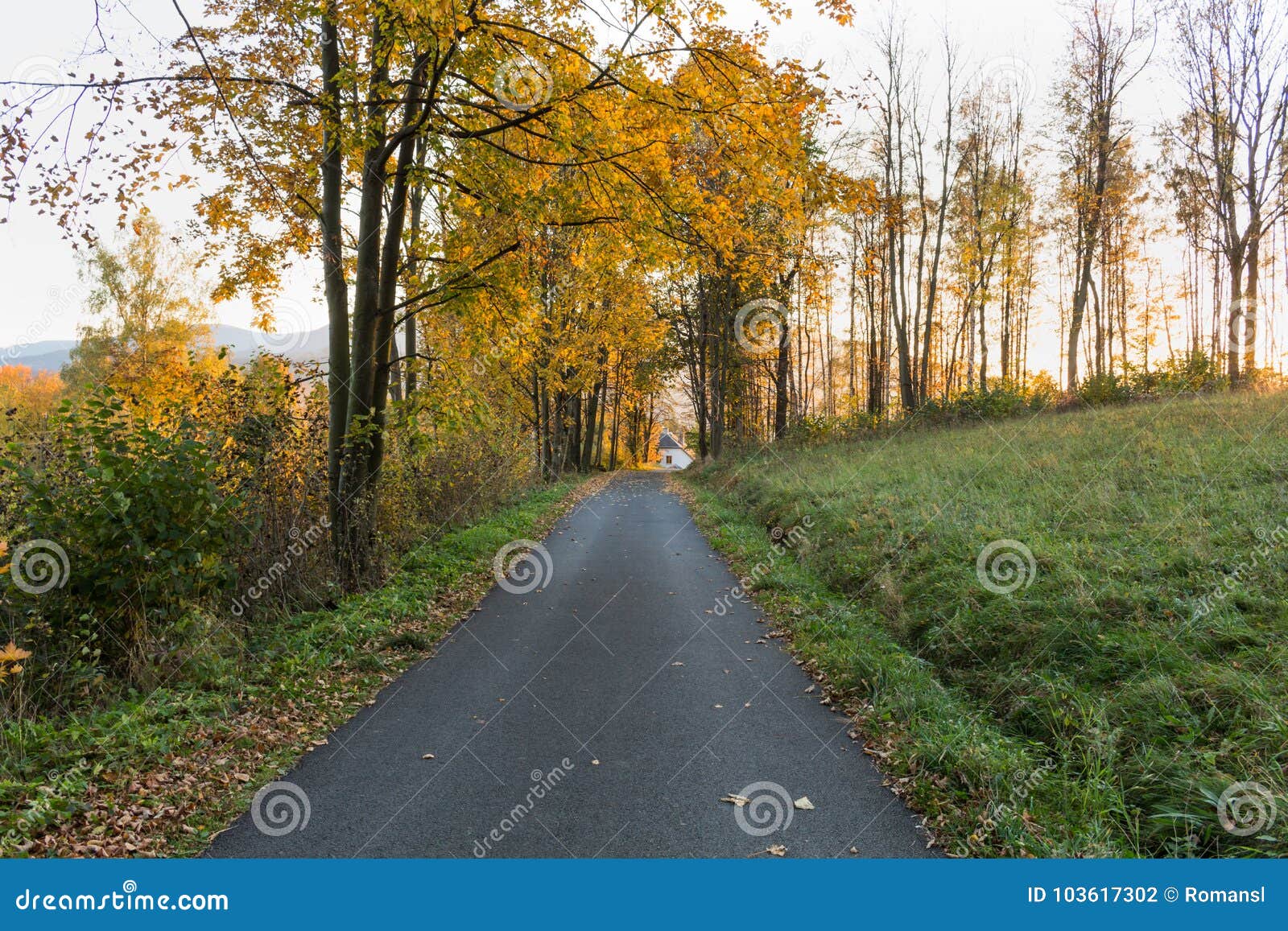 Narrow Path Lit by Soft Spring Sunlight. Forest Spring Nature Stock ...