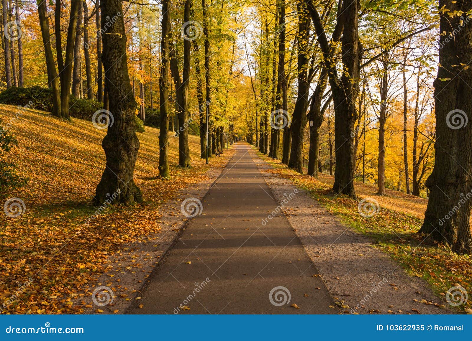 Narrow Path Lit by Soft Spring Sunlight. Forest Spring Nature. Spring ...