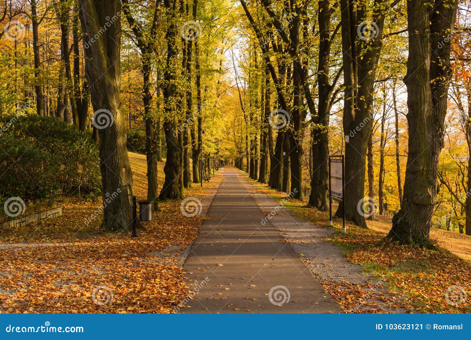Narrow Path Lit by Soft Spring Sunlight. Forest Spring Nature Stock ...