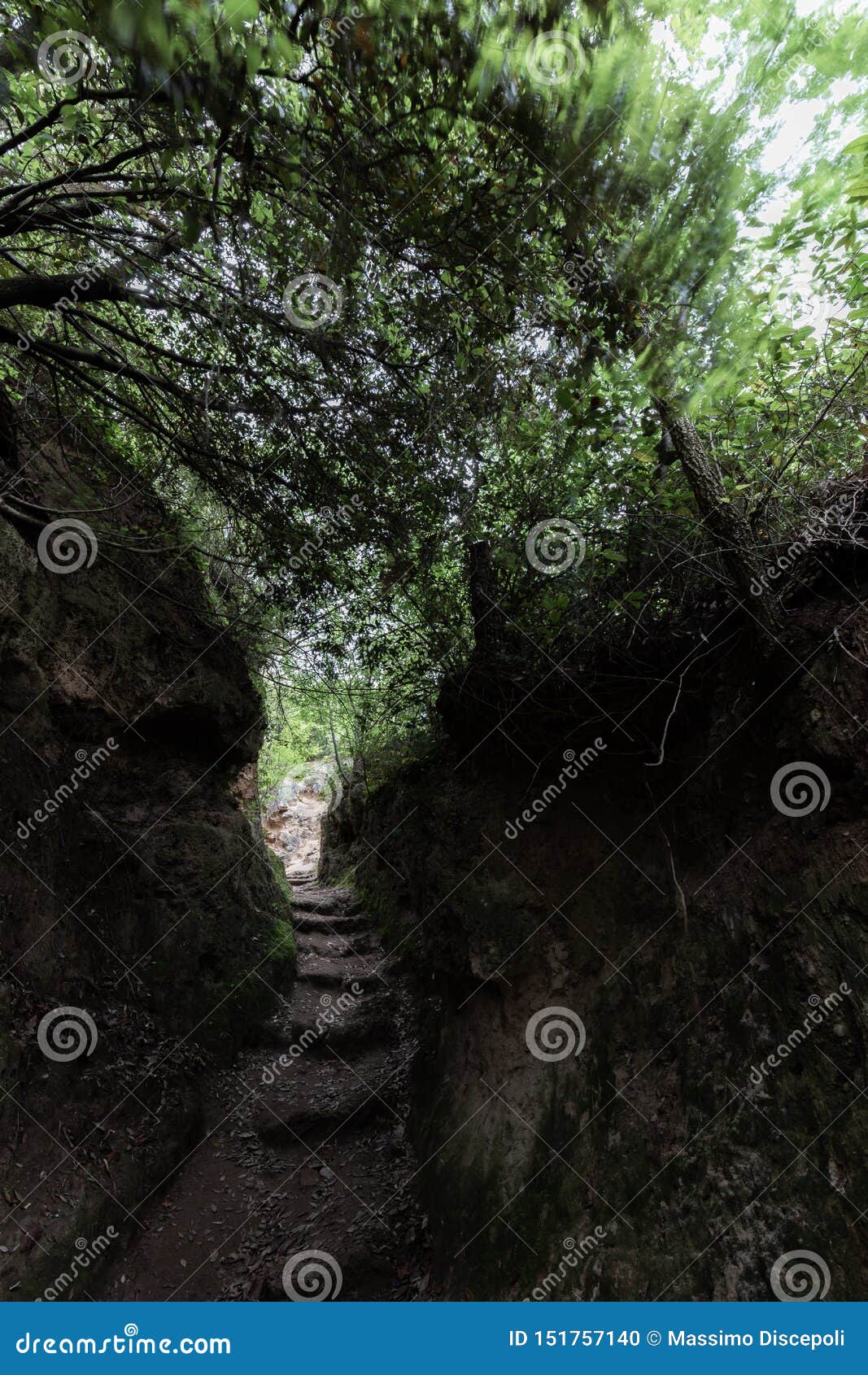 Narrow Path between Rocks and Trees in Pale Umbria, Italy Stock Photo ...