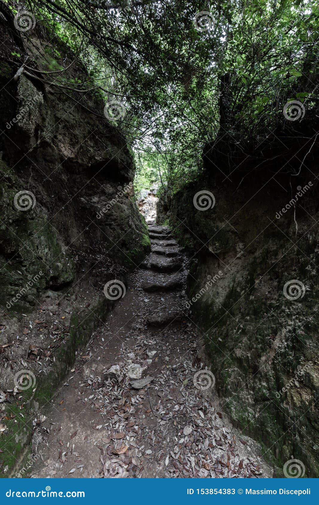 Narrow Path between Rocks and Trees in Pale Umbria, Italy Stock Image ...
