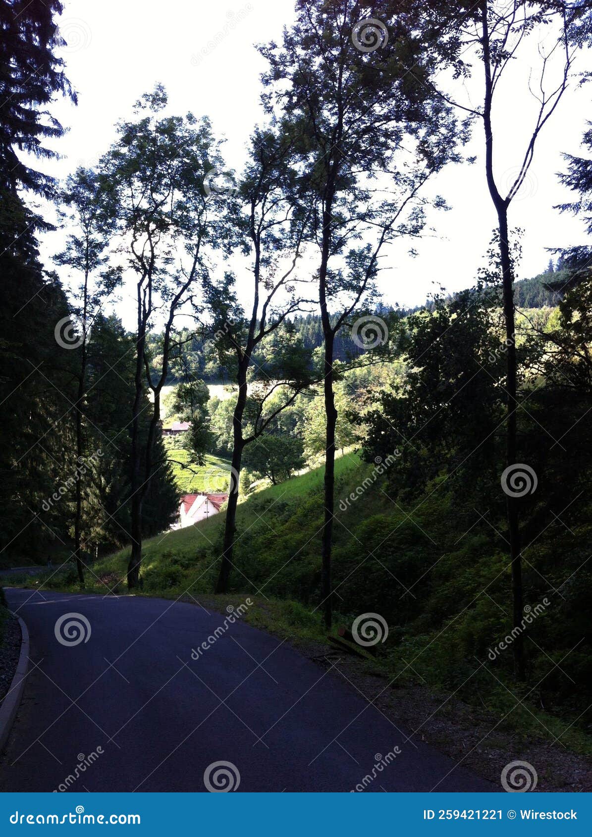Narrow Path in Scenic Green Hilly Terrain Stock Image - Image of grass ...