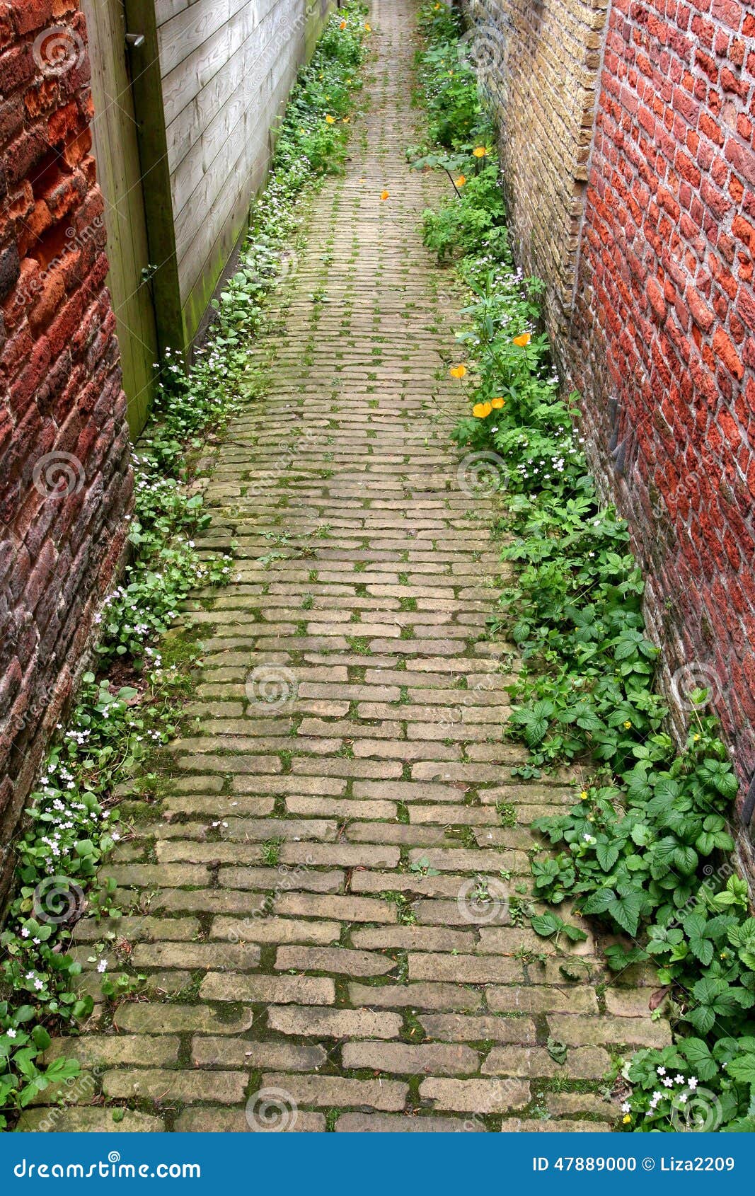 NARROW PATH in a SMALL OLD TOWN Stock Photo - Image of small, buildings ...
