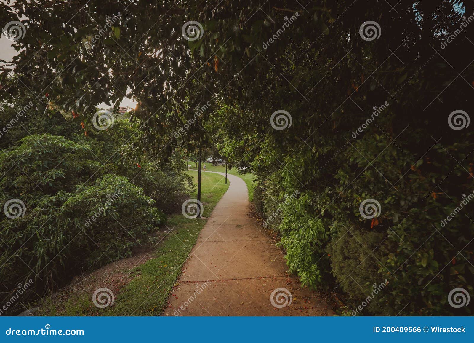 Narrow Path Surrounded by Trees in a Park Stock Photo - Image of spring ...