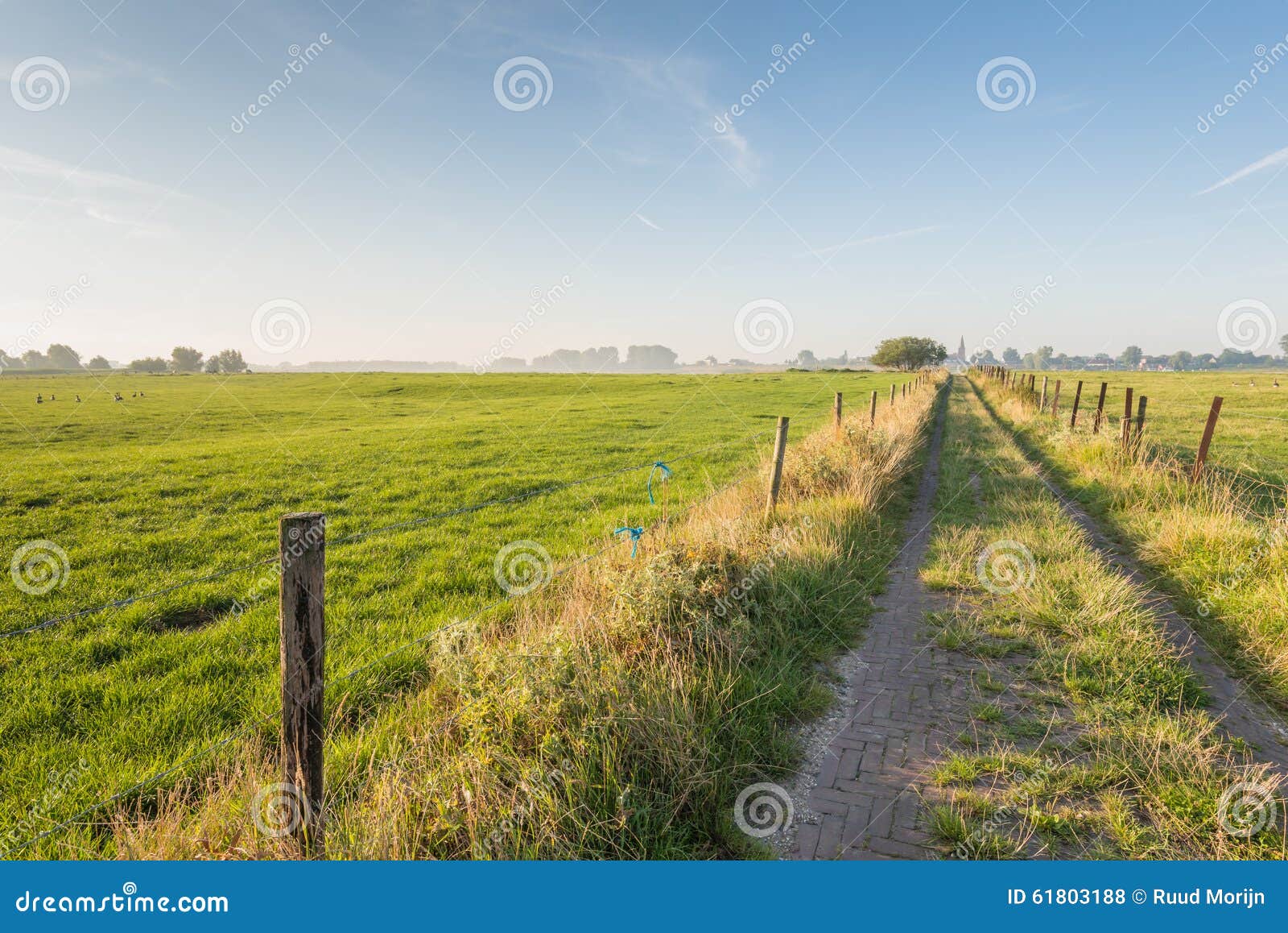 Narrow Path between Two Fields Stock Photo - Image of land, pole: 61803188