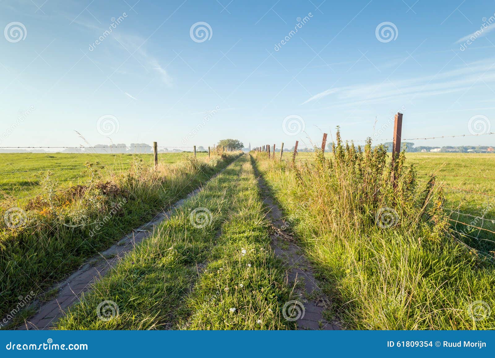 Narrow Path between Two Fields Stock Photo - Image of meadow, barbed ...