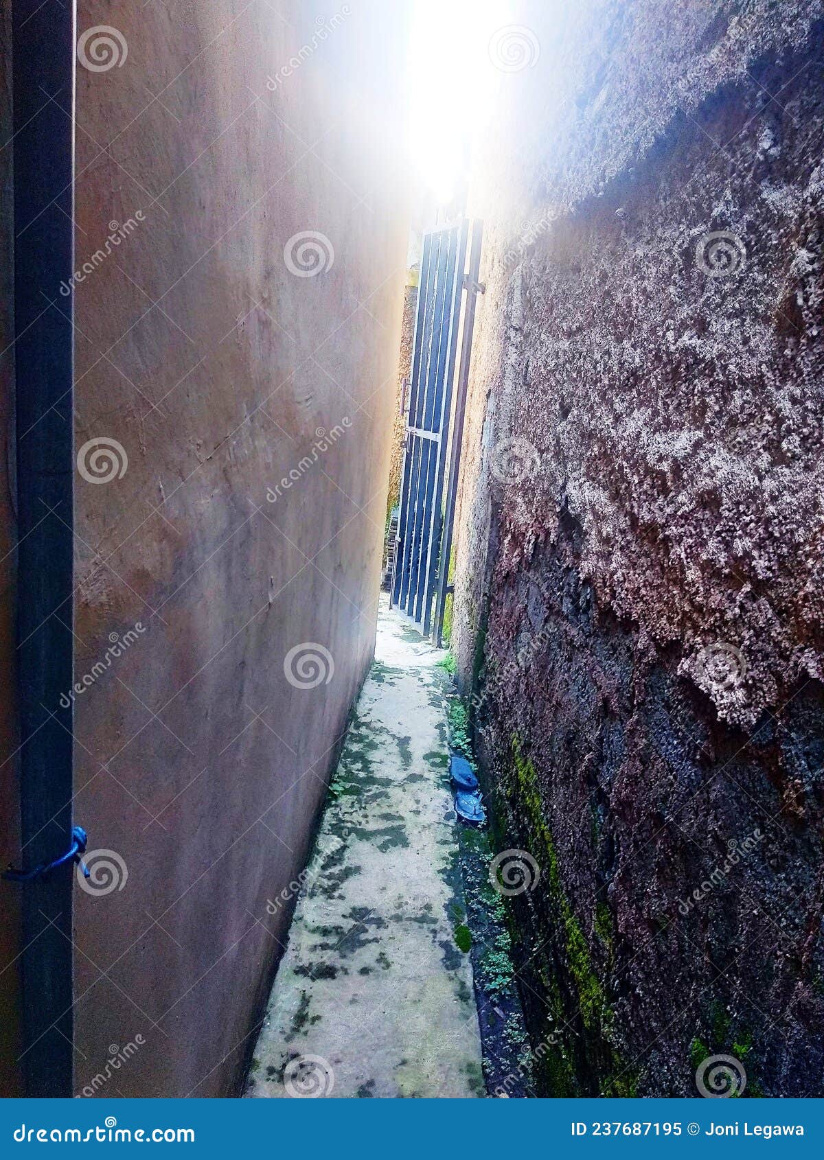 The Narrow Path between Two Walls Stock Image - Image of tree, snow ...