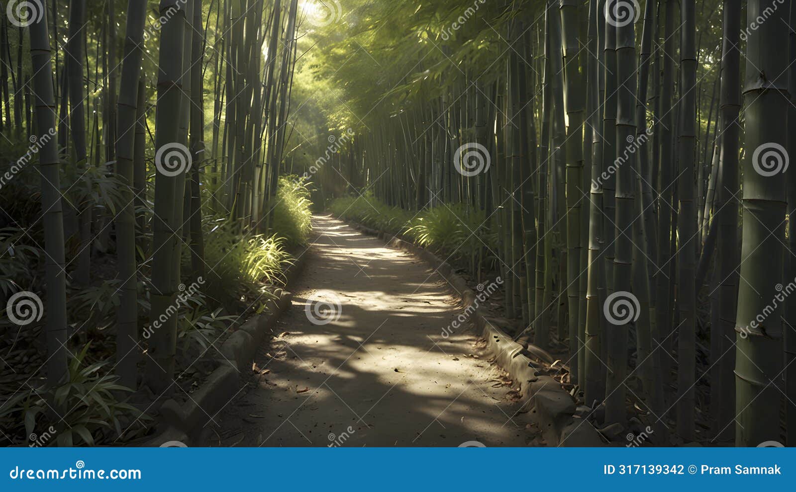 A Narrow Path Winds Its Way Through A Densely Wooded Forest, With Tall ...