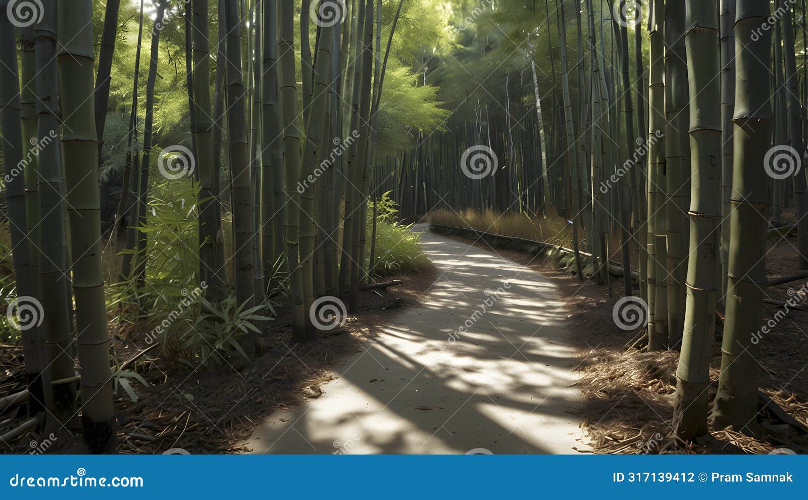 A Narrow Path Winding Through A Dense Bamboo Forest. Royalty-Free Stock ...