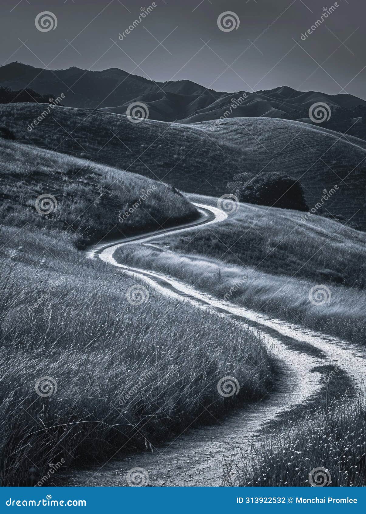 A Narrow Path In The Highlands Stock Photo | CartoonDealer.com #296300712