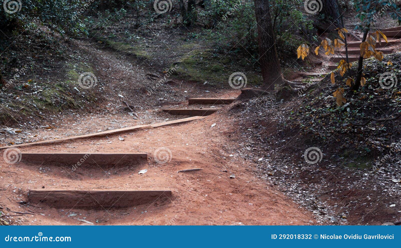 The Narrow Path with Wooden Steps in the Park Stock Photo - Image of ...