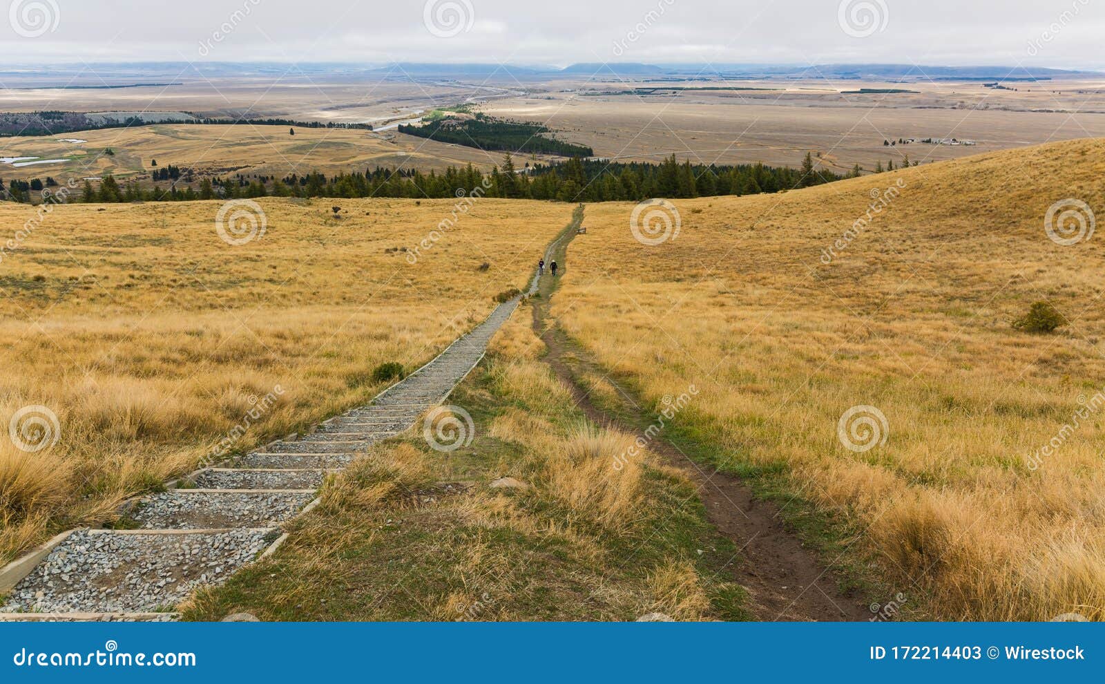 Narrow Pathway Down the Hill in the Middle of Grassy Fields Stock Image ...