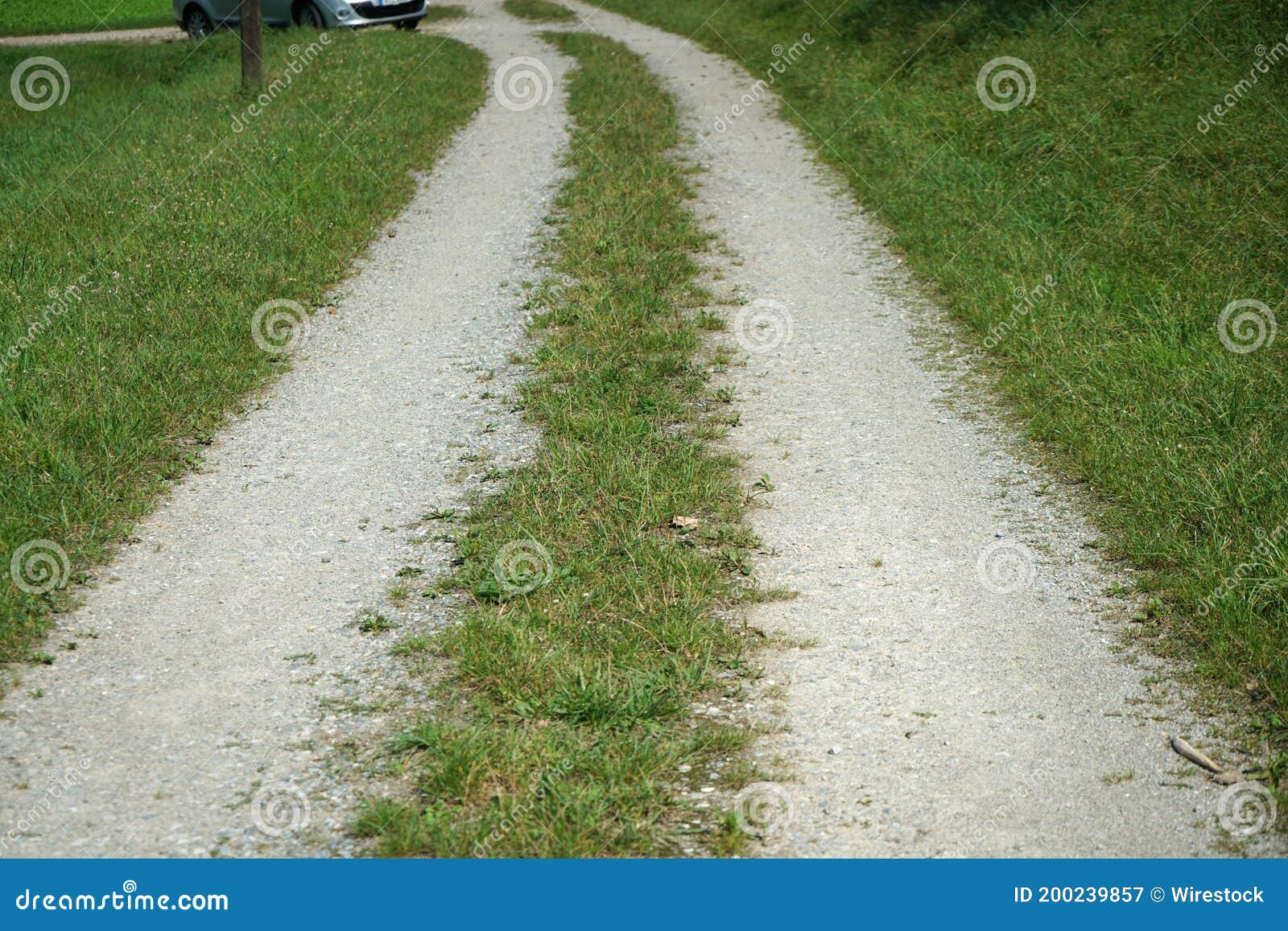 Narrow Pathway in a Field with Green Grass Stock Image - Image of ...