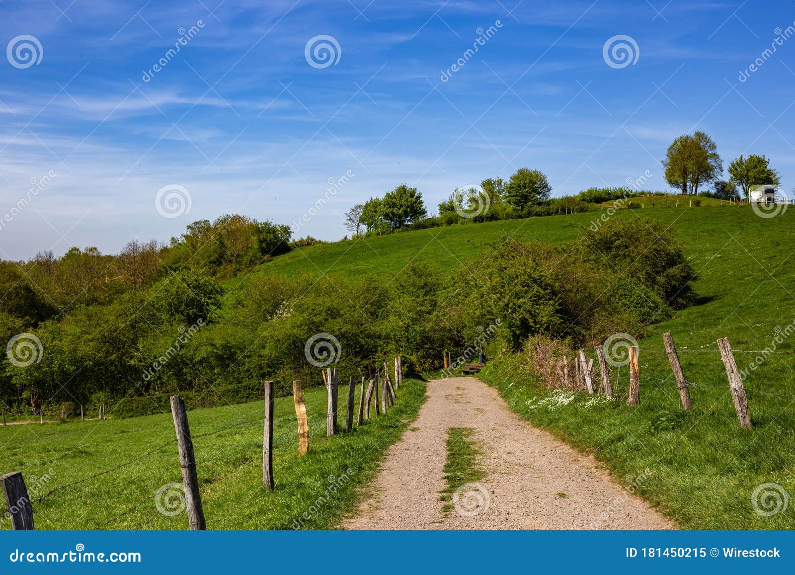 Pathway In Agricultural Land. FootpathChickpeas Turkey Farm In The ...